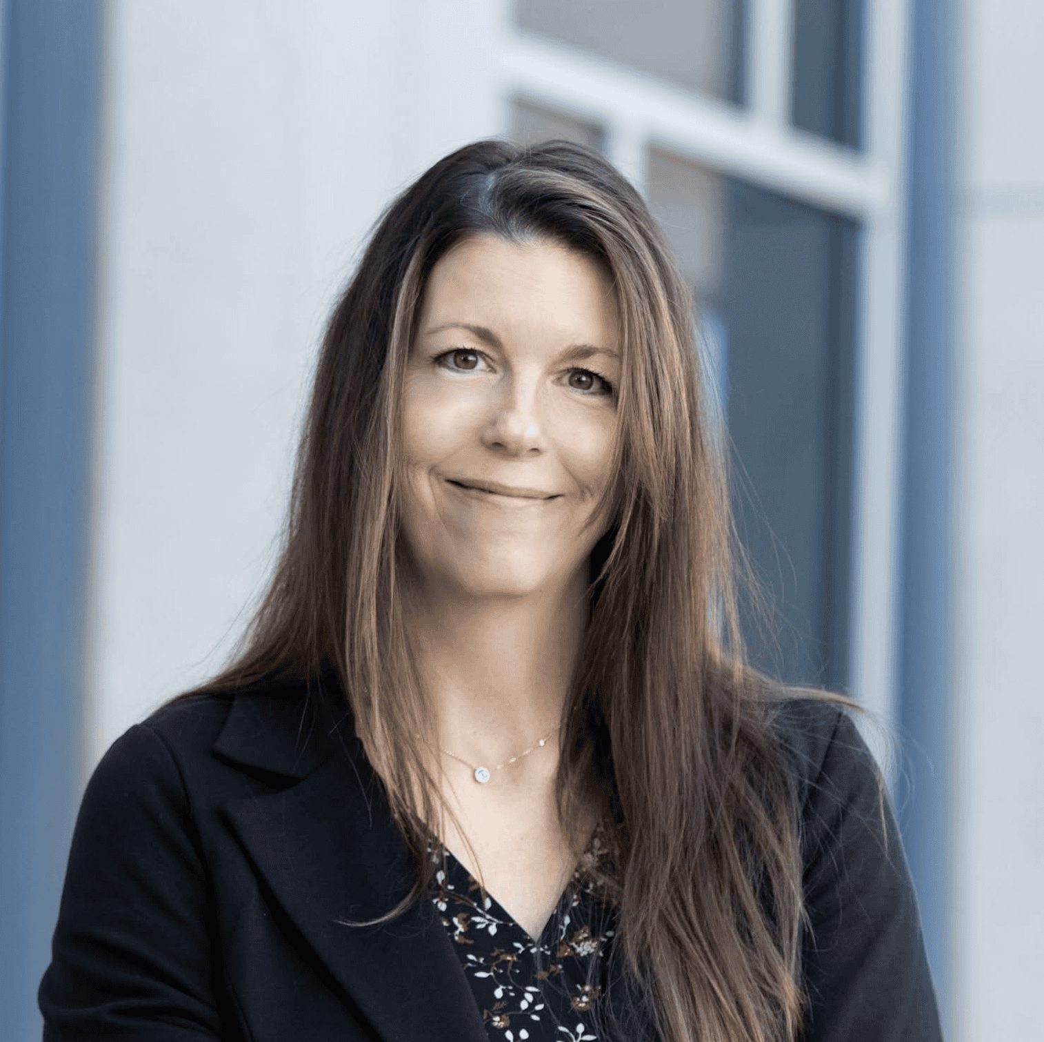 SAVE Nevada Act: Protecting Election Integrity in Nevada | Lisa Cole ...